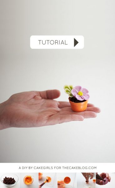 DIY Tiny Flower Pot Cakes | The Cake Blog